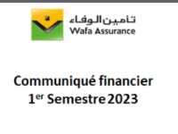 Wafa Assurance domine le marché marocain